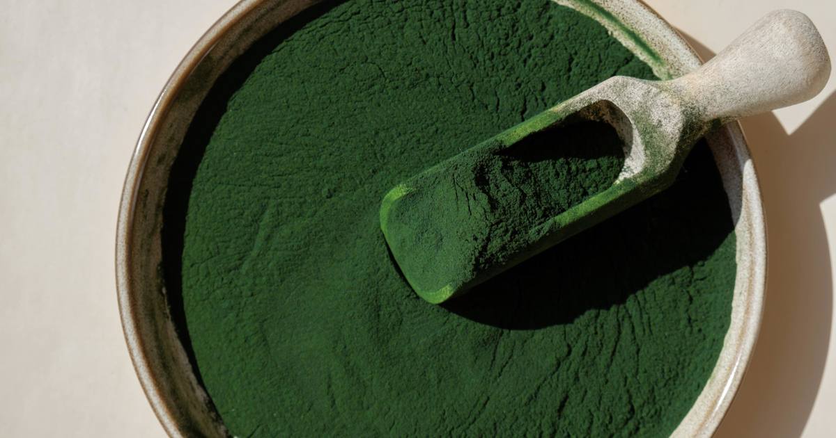 Algae's role in innovating food products