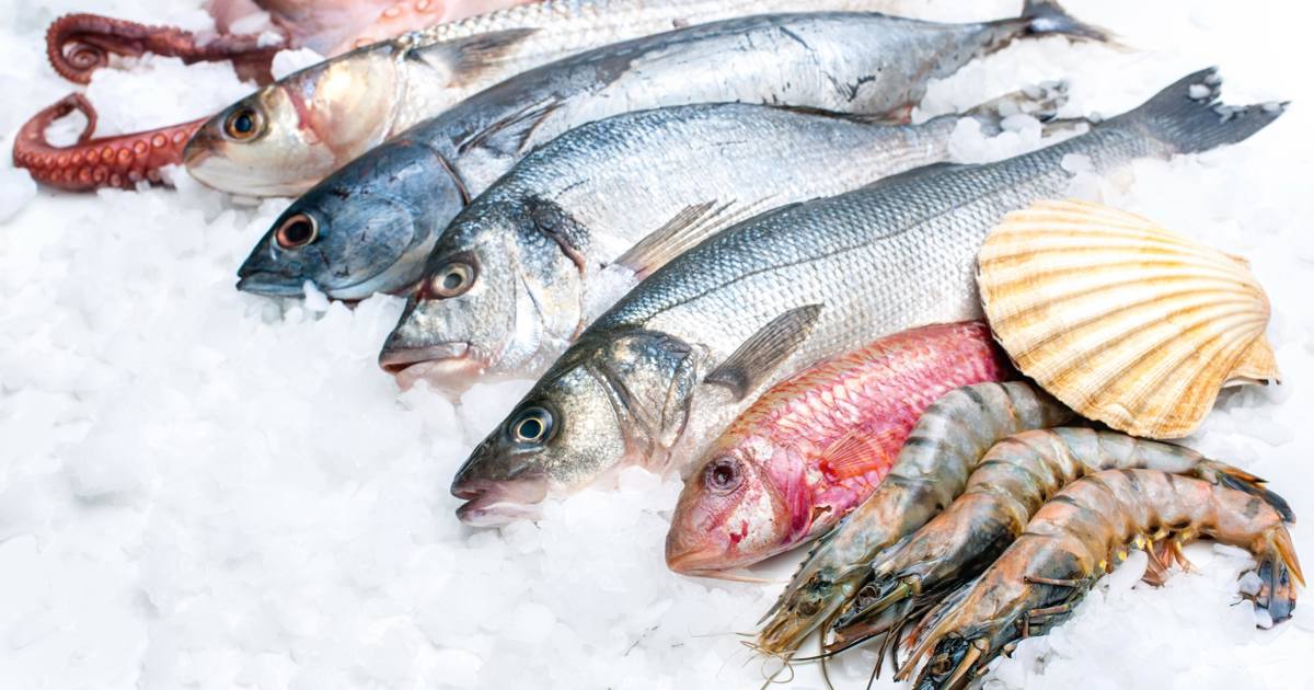 Fish and Fish Product Texture Tests | Stable Micro Systems